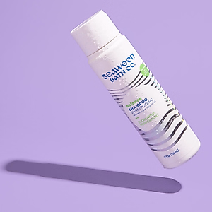 Seaweed Bath Co. Balance Shampoo, Eucalyptus Peppermint Scent, 12 Ounce, Sustainably Harvested Seaweed, Pro Vitamin B5, For Normal to Oily Hair