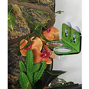 WOLEDOE 1oz Crested Gecko Food Cups, 100Pcs Reptile Plastic Feeding Dish