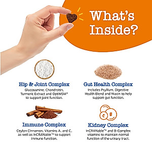 Zesty Paws Senior Dog Multivitamin Treats - Glucosamine for Dogs + Digestive Enzymes & Probiotics - Grain Free Dog Vitamins for Skin & Coat + Immune Health - Beef - Advanced - 90ct