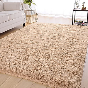 Balacho Modern Soft Shaggy Rugs Fluffy Bedroom Carpet 4x6 Feet Beige, Indoor Shag Fuzzy Area Rug for Living Room Nursery Girls Dorm Apartment Plush Decor, Kids Anti-Skid Play Floor Mat