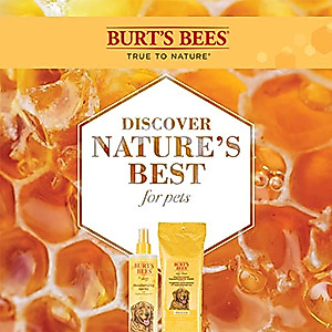 Burt's Bees For Dogs Multipurpose Hypoallergenic Grooming Wipes - Burts Bees Dog Deodorizing Spray, Dog Wipes For Cleaning, Burts Bees Dog Wipes, Deodorizing Spray for Dogs, Pet Wipes, Dog Spray