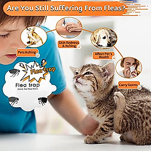 Flea Trap Refills,Discs Replacement Sticky Glue Pads Fits Most Models Flea Bed Bug Traps for Inside Your Home,Non-Toxic Odorless Eco-Friendly Family and Pet Safe(10 Pack)