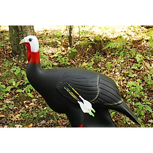 Shooter Field Logic 3D Archery Turkey Target, Black, One Size
