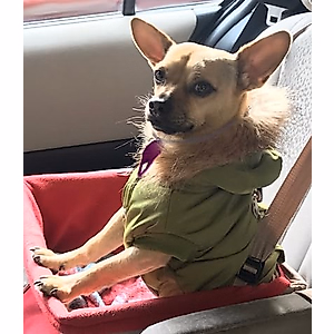 The Tick Patrol Tick Remover 6-Pack - for People & Pets - Stop Ticks in Their Tracks! (6 Colors)