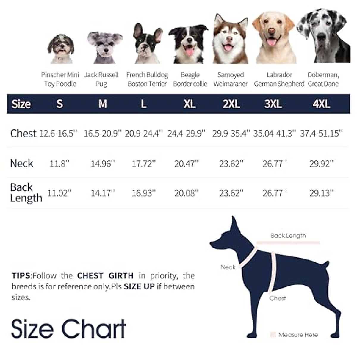 IECOii Extra Warm Dog Coat Reflective Adjustable Dog Jacket Dog Winter Coat with Buckle Fleece Turtleneck Dog Jacket for Cold Weather Soft Winter Coat for Small Medium Extra Large Dogs