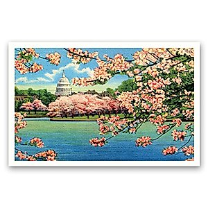 WASHINGTON DC VINTAGE REPRINTS postcard set of 20 postcards. Set of 20 identical post cards. Made in USA.