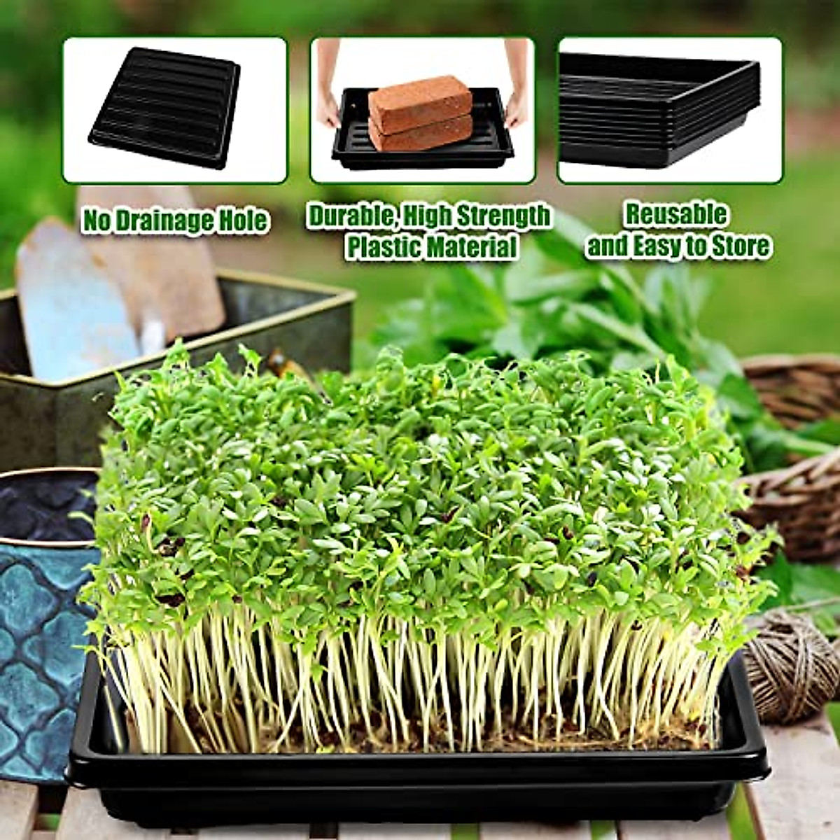 5 Pack Garden Plant Growing Trays Without Holes - 10" X 10" No Drain Holes Microgreens Growing Trays, Seedling Tray, Wheatgrass Sprouting Tray, Hydroponic Trays, Greenhouse Seed Starter Trays