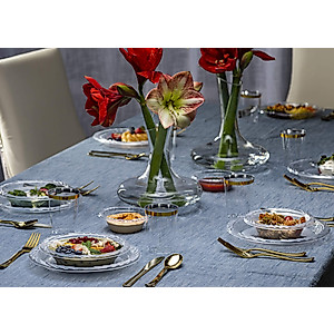 PLASTICPRO 10'' inch Premium Crystal Clear Disposable Plastic Dinnerware Party Plate Pack of 40