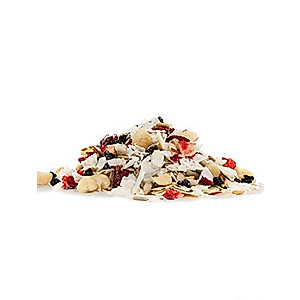 Bob's Red Mill Paleo Muesli, 14-ounce (Pack of 4)