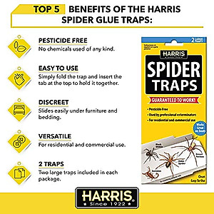 Harris Natural Spider Glue Traps with Lure (2-Pack)