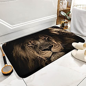 Ferocious Lion Super Soft Coral Velvet Area Rug Modern Indoor Rugs,Bedroom Carpets,Home Decor Rugs16 x24