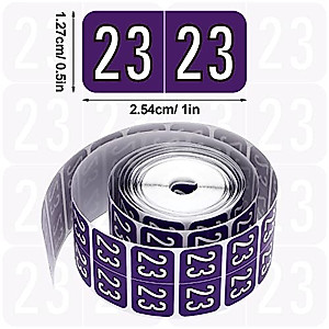 500 Pieces 2023 Year Stickers File Folder Year Labels Rectangle Coded Colored Year Stickers Self Adhesive Year Labels End Tab File Folders Office Supplies, 1 Roll (Purple, 1'' x 1/2")
