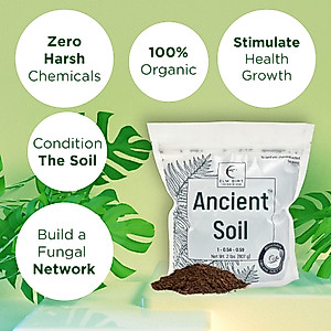 Elm Dirt Premium Ancient Soil for All Plants - Organic Plant Soil for Outdoor Plants & Indoor Plant Soil | Garden Soil for Plant Nutrients Growth & Protect your Plants Bugs - Roots Organic Soil (2lbs)