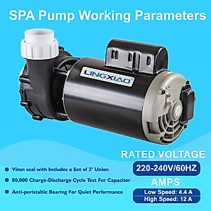 LINGXIAO WUA400-II SPA Pump, 4HP Hot Tub Pumps, 2 Speed LX SPA Pump Motor 220-240V, 2" Port, 56 Frame, No Base for Jacuzzi Pump - Mode: 56WUA400-II(NF)