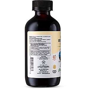 Maxi Health Liquid Iron, Natural Fruit Punch, 8 Fl Oz