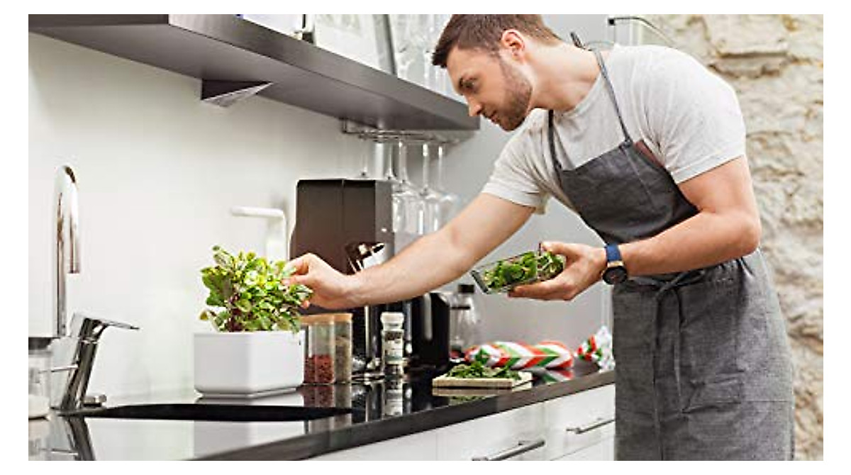 Click & Grow Arugula Pods: Effortless Home Grown Freshness