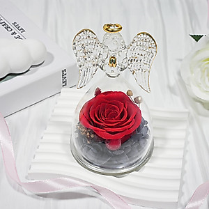 Sunia rolra Angel Rose Figurines Angel Gifts for Women, Preserved Flower Rose Glass Angel Gifts for Her Grandma Mom, Angels Figurines Guardian Unique Gifts Valentine Mothers Day Birthday Thanksgiving