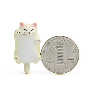 CHICHIC 6 Pack Fun Cat Refrigerator Magnets Office Magnet, Kitchen Decor Fridge Cat Ornament, Perfect for Whiteboard, Refrigerator, Map, Notes, Calendar, Gift for Lady Cats Lovers Novelty Butt