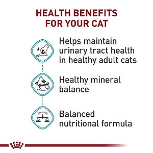 Royal Canin Feline Care Nutrition Urinary Care Adult Dry Cat Food, 6 lb Bag