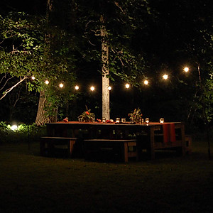 LumaBase Electric Café String Lights with 10 Bronze Metal Shades