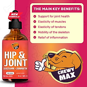 Glucosamine for Dogs | Hip and Joint Supplement Dogs | Dog Joint Supplement | Glucosamine Chondroitin for Dogs | Dog Glucosamine | Glucosamine for Dogs Hip and Joint Supplement | 2 Oz