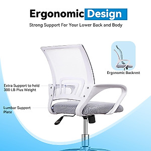 Nazhura Mesh Office Desk Chair with Adjustable Height and Swivel, Mid-Back with Armrests and Lumber Support(Mid-Height, Grey)