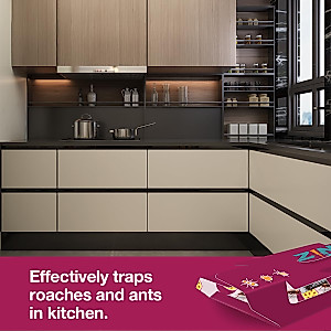 ZingZap Roach Glue Trap - 13 Pack with Passion Fruit Bait