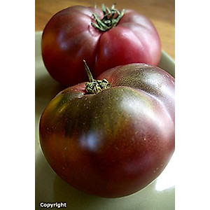 Cherokee Purple Heirloom Tomato Seeds- 75+ Seeds by Ohio Heirloom Seeds