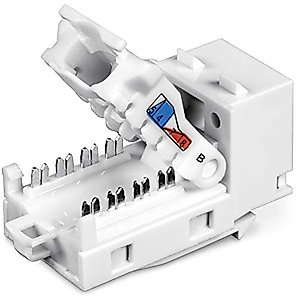 TRENDnet Cat6 Keystone Jack, 25-Pack Bundle, 90° Angle Termination, Compatible with Cat5, Cat5e, Cat6 Cabling, Color-Coded Labeling, Gold-Plated Contacts, Tool-Less Design, White, TC-K25C6