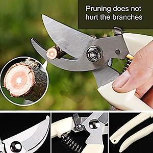 2PC Stainless Steel Pruning and Cutting Multifunctional Horticultural Scissors Orchard Flower Branch Picking Tree Pruning and Garden Branch Cutting Tool