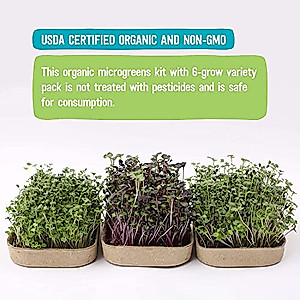 Back to the Roots DIY Microgreen Grow Kit, 6-Grow Variety Pack