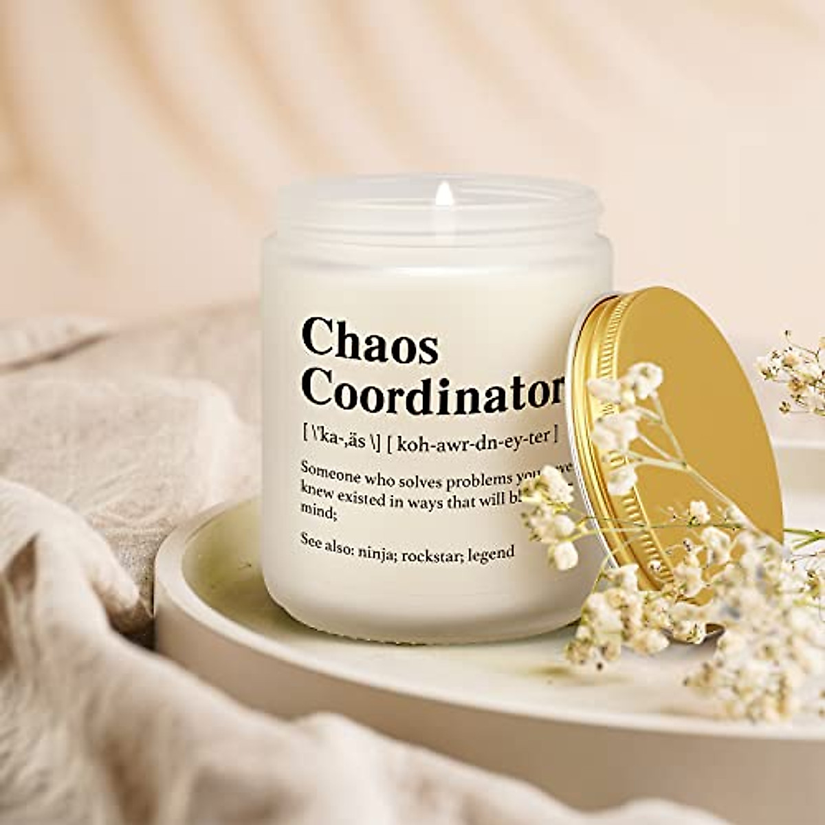Chaos Coordinator Gifts - Boss Lady Gifts for Women on Boss Day Birthday Christmas Mother's Day Fathers Day Valentines Thank You Gifts for Manager Office Coworkers Mom Dad Teacher Friend Men Her Him