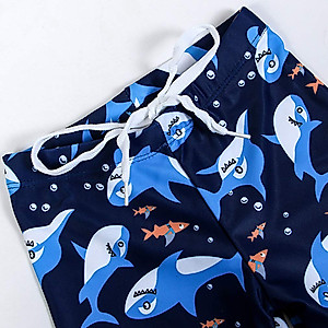 Baby Toddler Boys Two Pieces Swimsuit Set Swimwear Dinosaur Bathing Suit Rash Guards with Hat UPF 50+ (Shark, 6-9 Months)