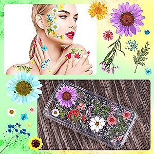 110 Pieces Dried Pressed Flower Leaves with Box and Curved Tweezers Set Assorted Natural Daisy Flowers DIY Real Dry Flowers for Candle Decoration, Resin Epoxy, Jewelry Crafts Making