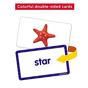 Flash Cards: Colors & Shapes