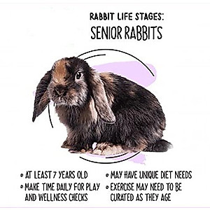 RANDOLPH Rabbit Food Care 70 g. MONOLAURIN LAULIN Acid High Protection Formula Rabbit Vitamin & Mineral Probiotics Improved Digestion Best Prevent Healthy for All Small Animal Bunny Food Rabbit Feed