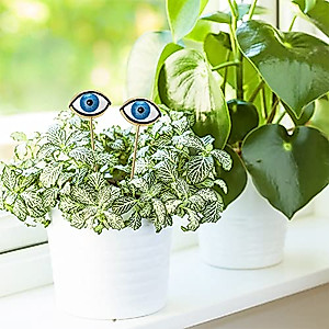 Tuitessine Resin Plant Eyes Stakes Set of 2, Eyeball Garden Plant Accessory, Evil Eye Plant Picks, Indoor Outdoor Plant Pot Decoration, Novelty Gift for Plant Lover, Plant Mom, Plant Lady
