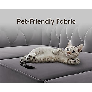 Morden Fort Classic Chesterfield Loveseat Set 60'', Tufted Loveseat Sofa Set with Solid Wood Legs Thick Cushion, Pet-Friendly 2-Seater Sofa Couch for Living Room Bedroom Apartment - Velvet Grey