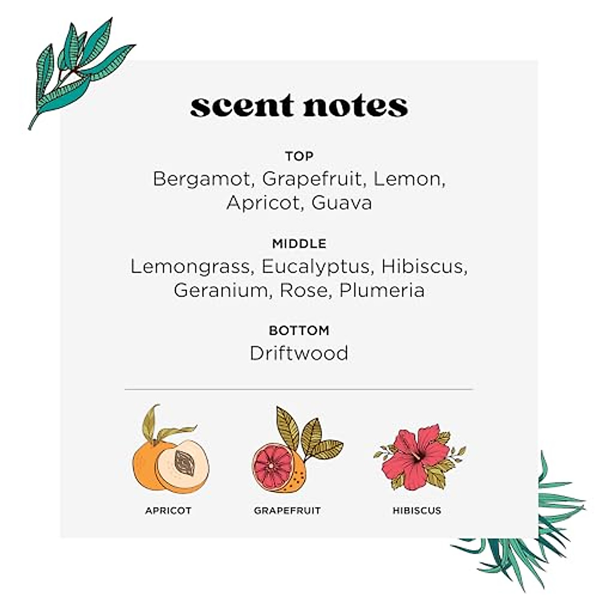 Poo-Pourri Before-You-Go Toilet Spray, Tropical Hibiscus, Refill Bottle 16 Fl Oz - Hibiscus, Apricot and Citrus