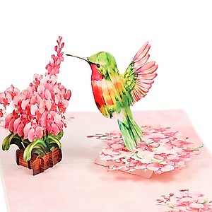 Birthday Card for Women, 3D Hummingbird Orchid Flower Pop Up Birthday Cards for Mom, Wife, Daughter, Her, Sister, Girlfriend, Grandma, Mother's day, Thank You, Anniversary, Valentine's Day Cards