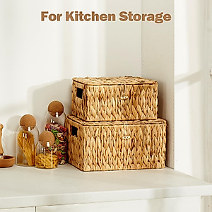 Edergoo Wicker Basket with Lid, Water Hyacinth Storage Baskets for Shelves, Large & Small Wicker Storage Basket with Lid and Built-in Handles, Hand Woven Wicker Baskets for Storage 2 Pack