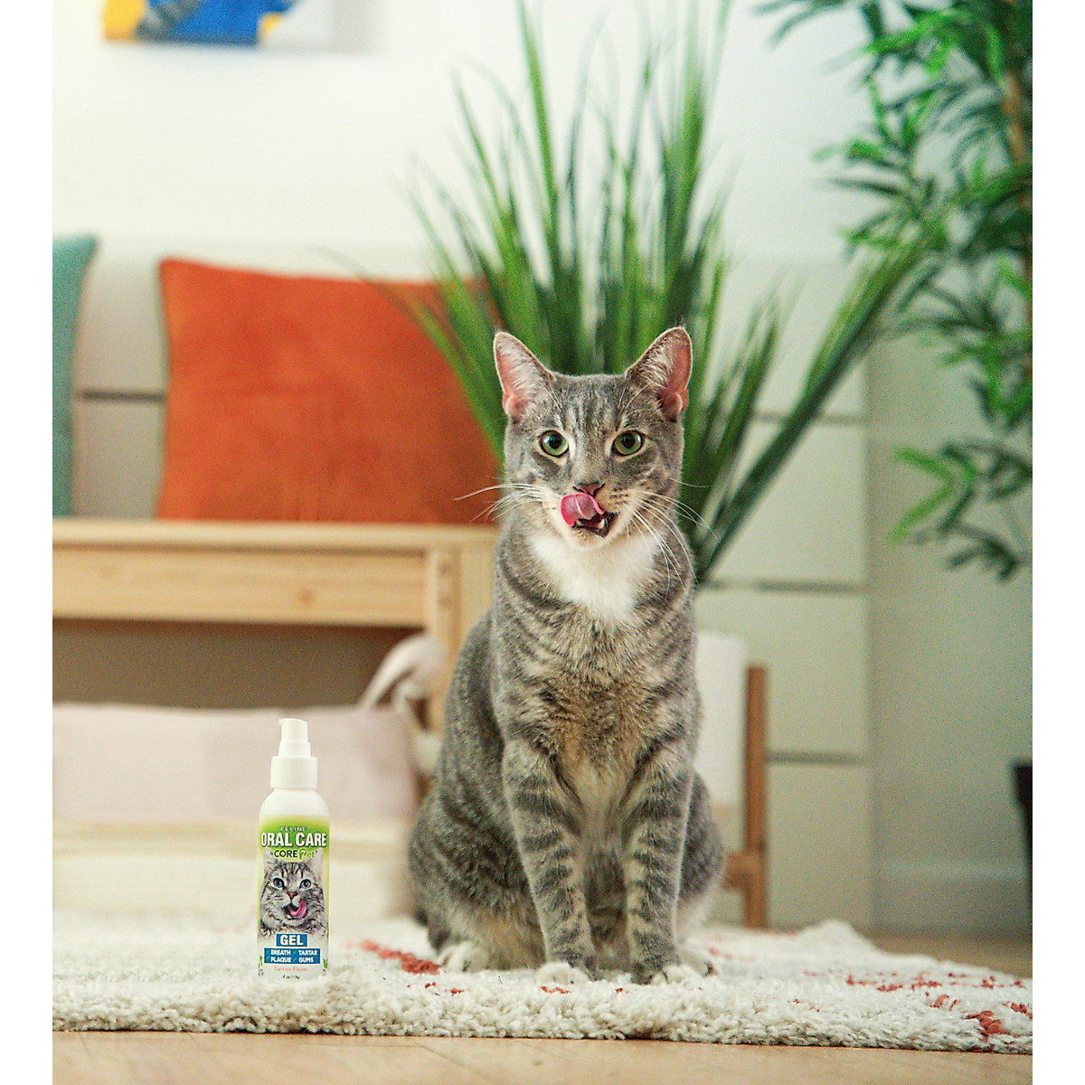 CORE Pet Complete Oral Care from The Founders of PetzLife - 4 oz (Feline Salmon Gel)