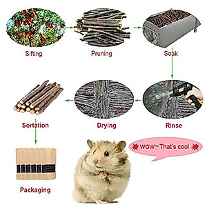 Chngeary 150g and 300g Natural Sweet Bamboo Sticks Small Animals Treats Toys, Rabbit Hamster Guinea Pigs Toys Chinchilla Squirrel Bunny Chew Toys(150g)