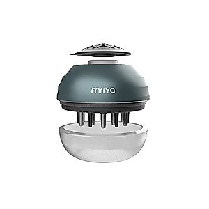 mriya Scalp Applicator Comb, Hair Oil Applicator for Medicine Scalp Head Fluid Comb Essential Oil Hair Treatment Head Scalp Massager Brush Hair Growth