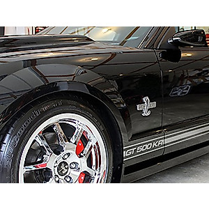 LincShine All-in-One Detailer + Shine + Protectant