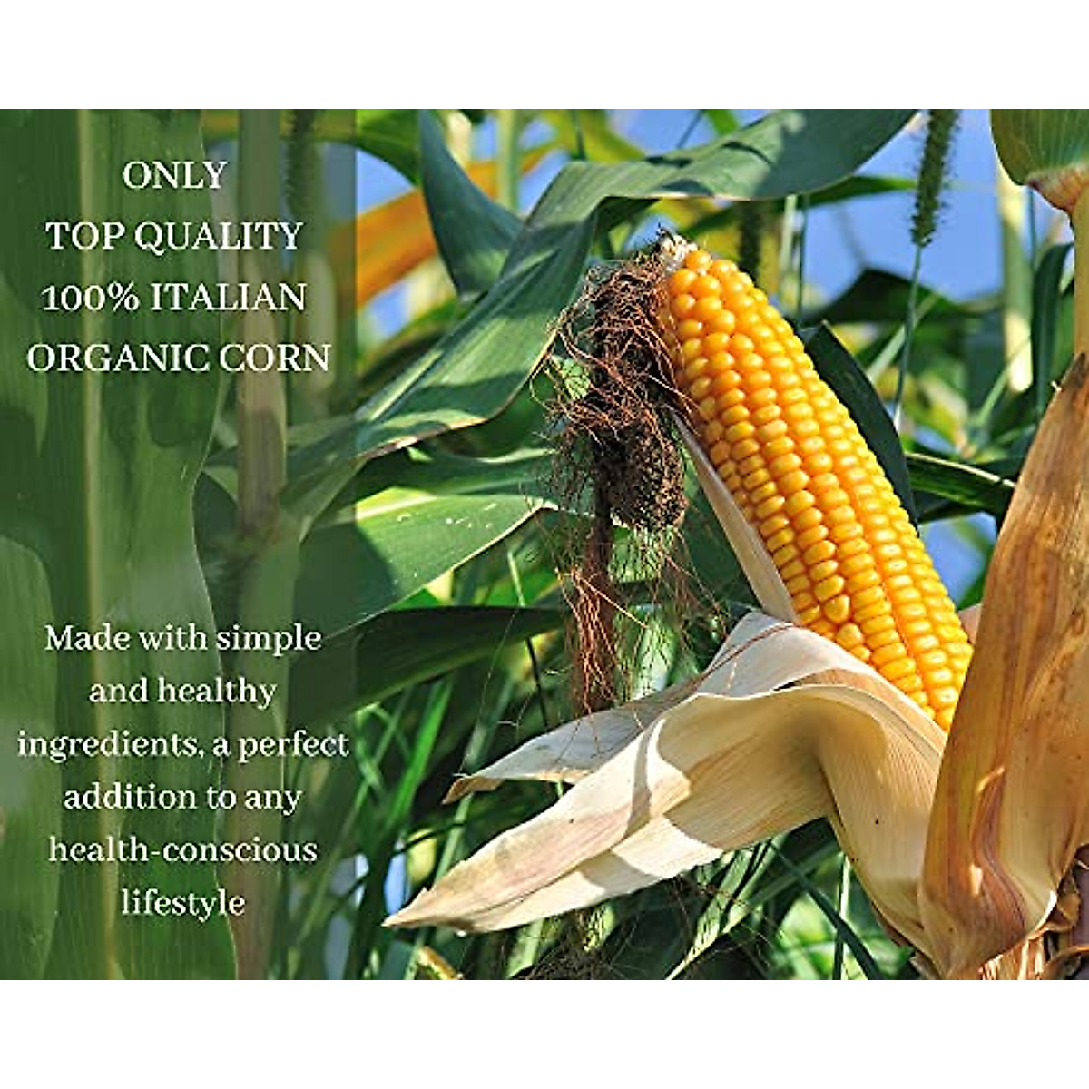 Le Asolane Certified Organic Gluten Free Ditalini Pasta | Authentic Imported Italian Gourmet Pasta from Select Premium Grade Corn Flour | 8.8 oz packages (Pack of 1)