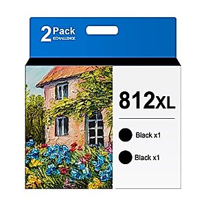 ECHALLENGE Remanufactured 812XL 812 XL 812 Ink Cartridge Replacement for Epson 812XL 812 XL 812 T812XL T812 Compatible with Workforce Pro WF-7820 WF-7840 Workforce EC-C7000 Printer (2 Black)