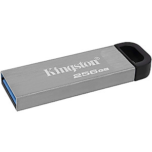 Kingston 256GB USB Flash Drive Kyson DataTraveler (Bulk 2 Pack) USB 3.2 Type-A Drive 200MB/s High Speed PenDrive for Computer or Laptop (DTKN/256GB) Bundle with (1) Everything But Stromboli Lanyard