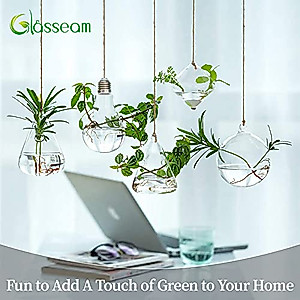 Hanging Glass Planter Plant Terrarium, 5Pcs Glasseam Propagation Stations for Plants Modern Propogation Station Wall Vase Planters Hydroponic Vases for Air Plant Flowers Indoor Window Home Decor