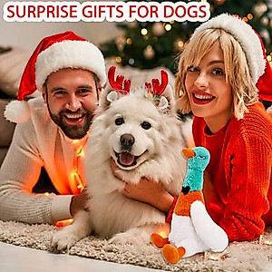 REQIHO Squeaky Dog Toys - Durable Plush Duck Crinkle Paper Stuffed Animal Toys for Small to Large Dogs